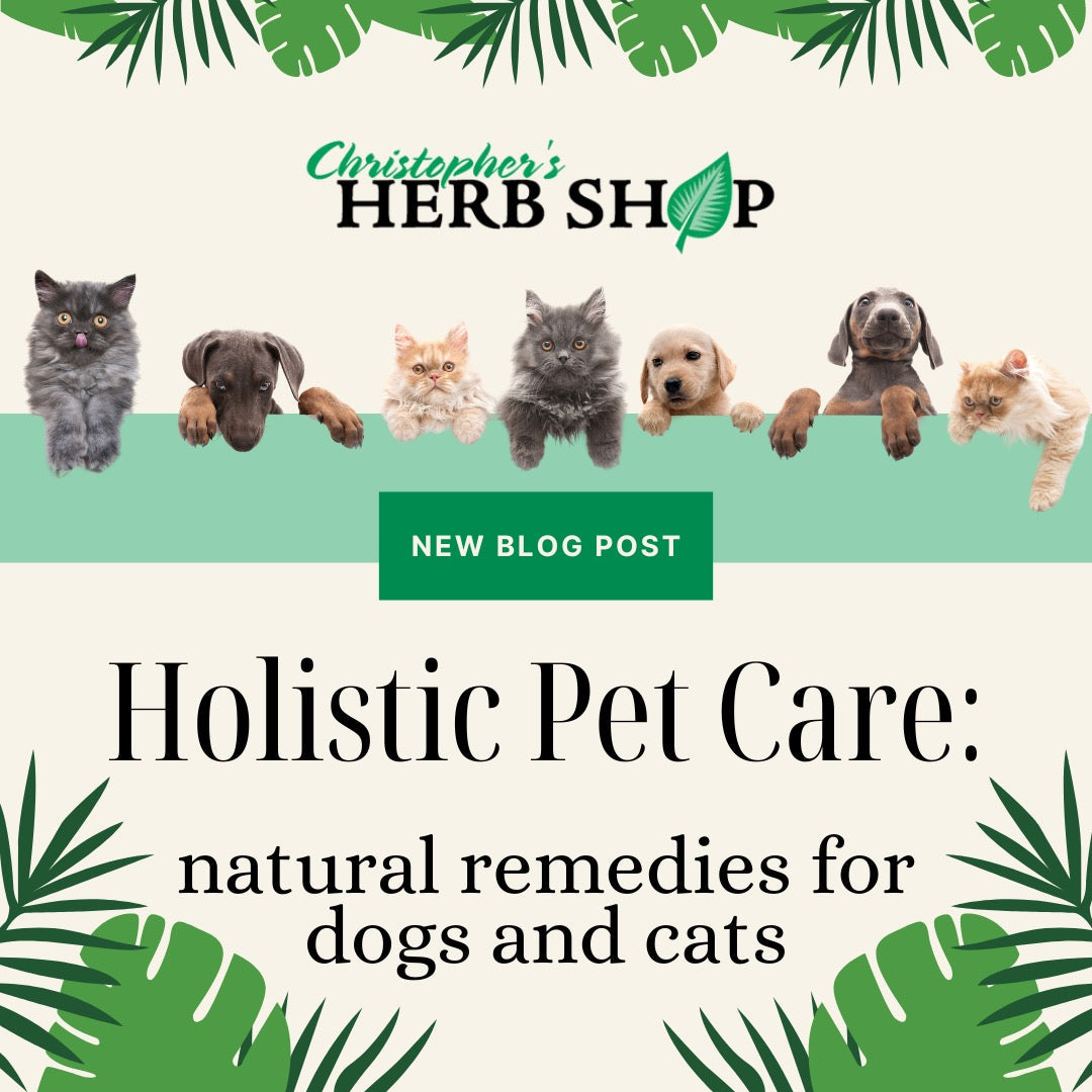 Holistic Pet Care: Natural Remedies for Dogs & Cats – Christopher's ...